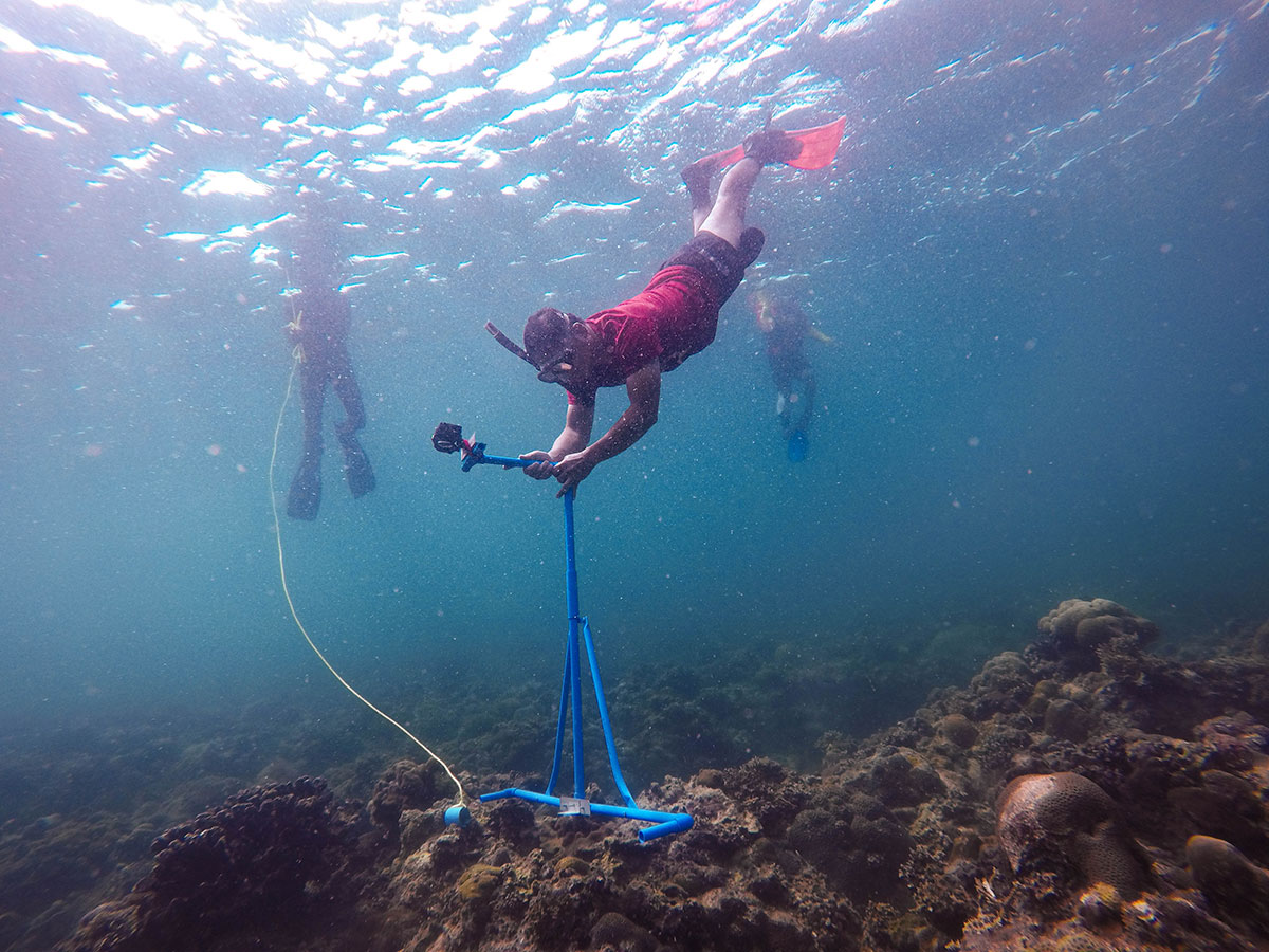 SEA VIP - ABS-CBN Foundation